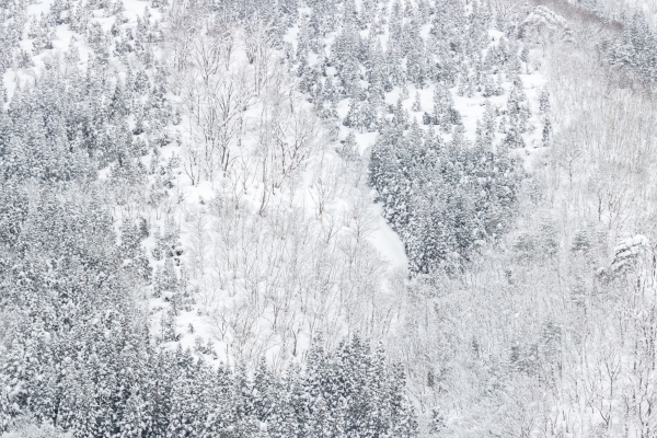 OBC – Okutama Bible Chalet – a light in the valley